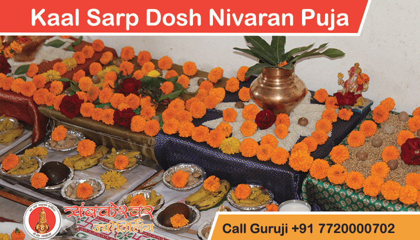 Puja Gallery - Kaal Sarp Puja Images Trimbakeshwar Temple