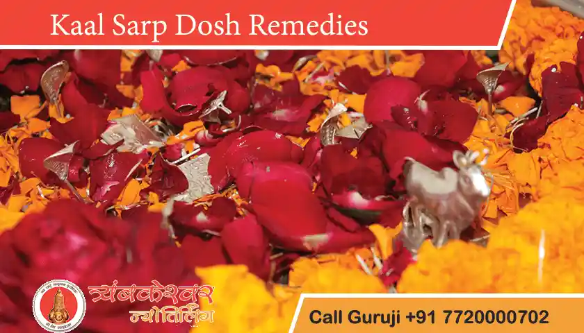 Kaal Sarp Dosh Remedies - Trimbakeshwar Temple Kaal Sarp Puja