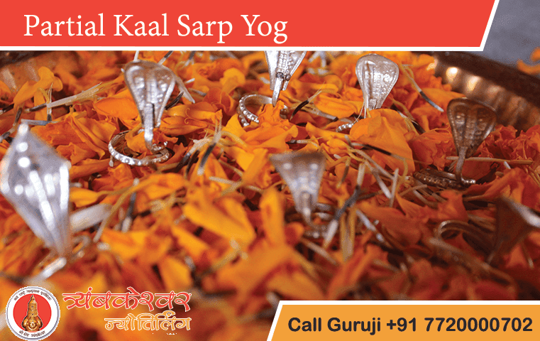 Trimbakeshwar Temple | Kaal Sarp Dosh Nivaran Puja | काल सर्प योग पूजा